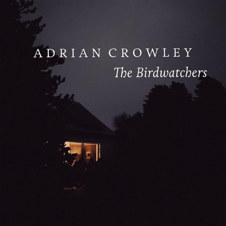 Adrian Crowley - The Birdwatchers (EP) - Reviews - Album of The Year