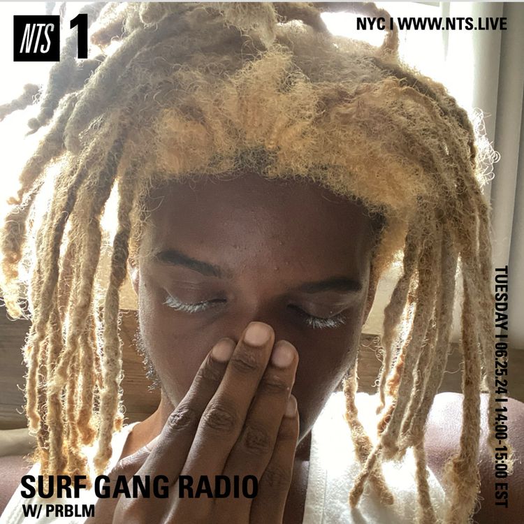SURF GANG & prblm - NTS SURF GANG RADIO (DJ Mix) - Reviews - Album of ...