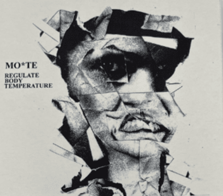 Mo*Te - Regulate Body Temperature - Reviews - Album of The Year