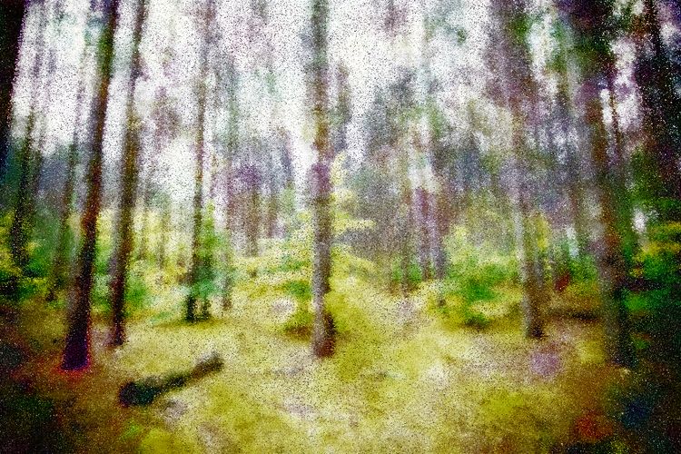 Thereva's Tree - tree (I) (Single) - Reviews - Album of The Year