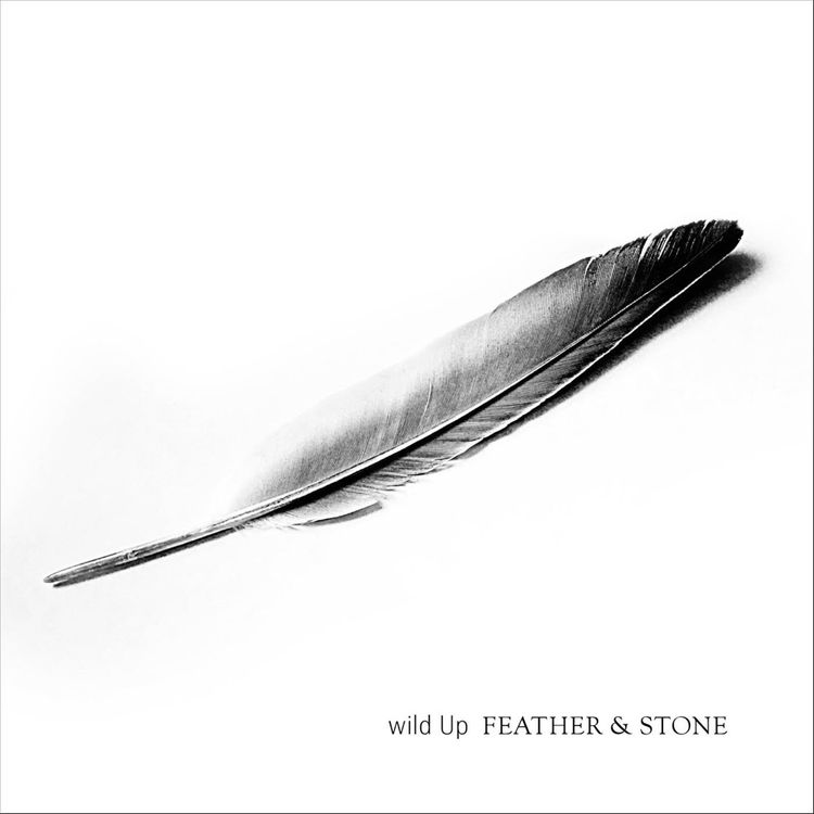 Wild Up & Christopher Rountree - FEATHER & STONE (Live) - Reviews ...