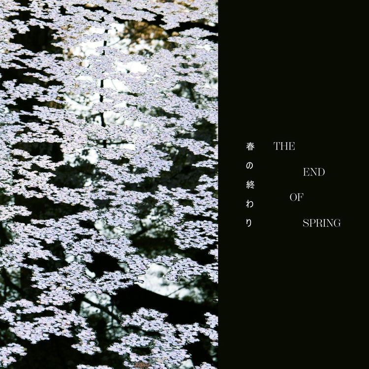 a bowl of rice - THE END OF SPRING (Single) - Reviews - Album of The Year