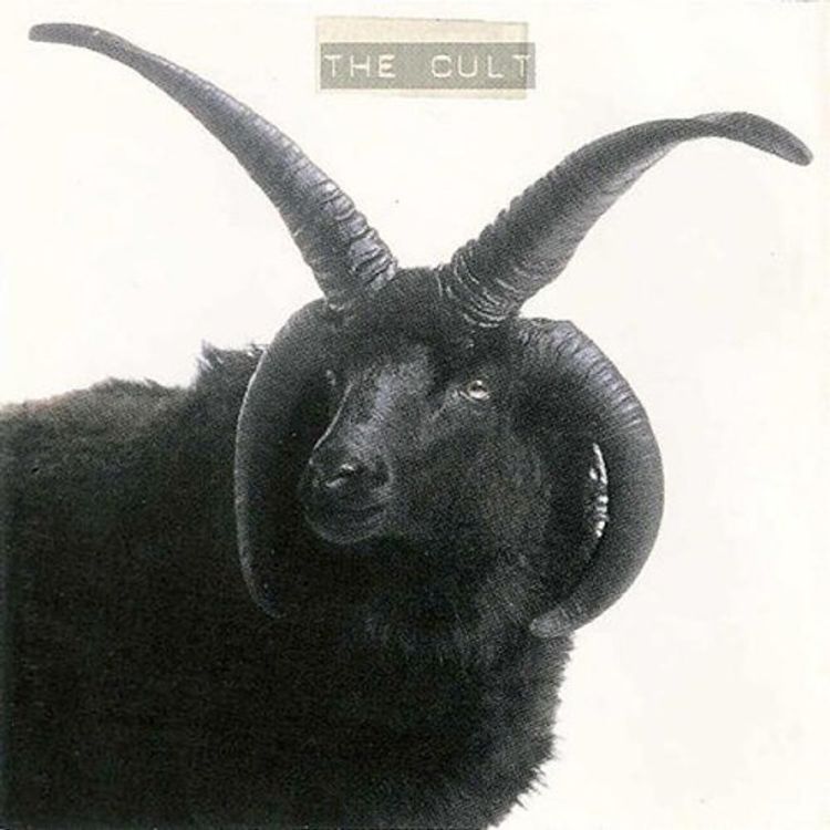 The Cult - The Cult - Reviews - Album of The Year