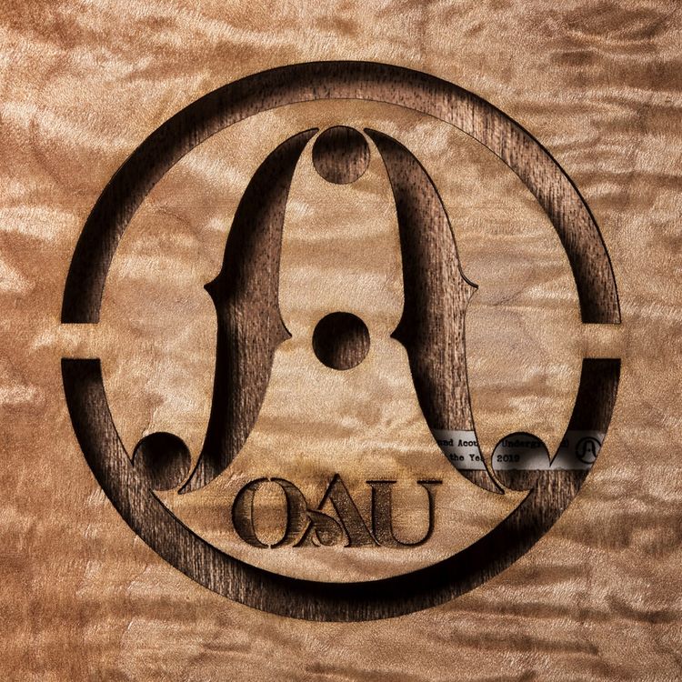 OAU [OVERGROUND ACOUSTIC UNDERGROUND] - OAU - Reviews - Album of The Year