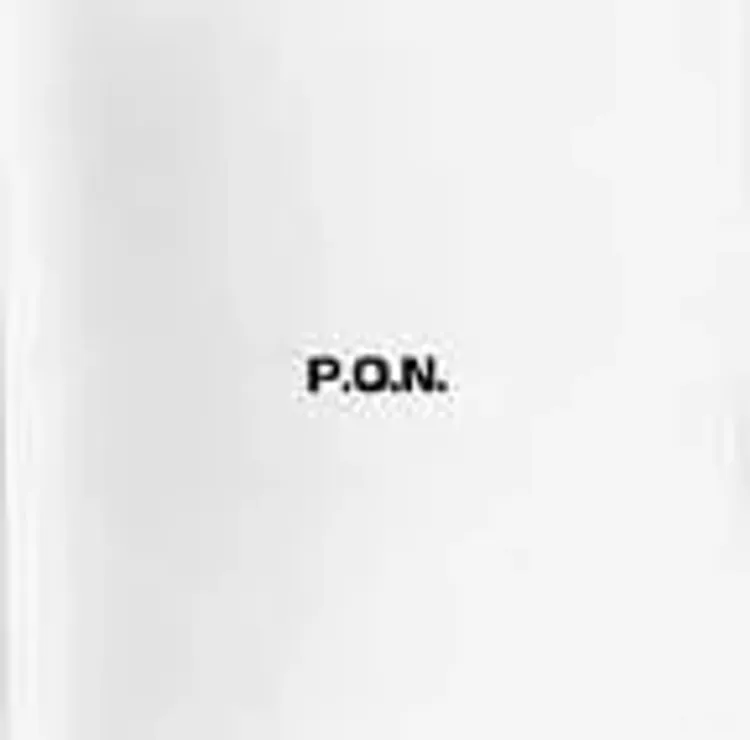P.O.N. - P.O.N. - Reviews - Album of The Year