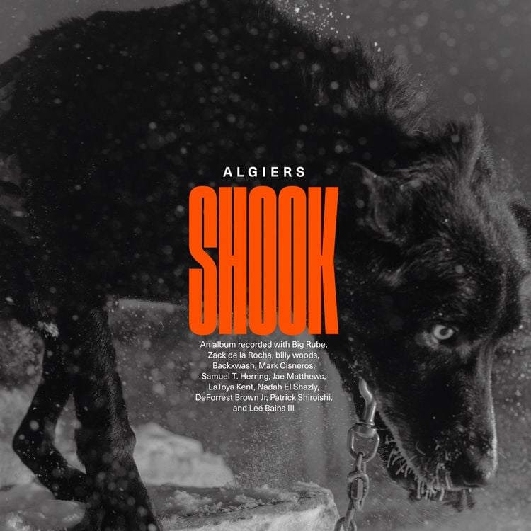 Algiers - Shook - Reviews - Album of The Year