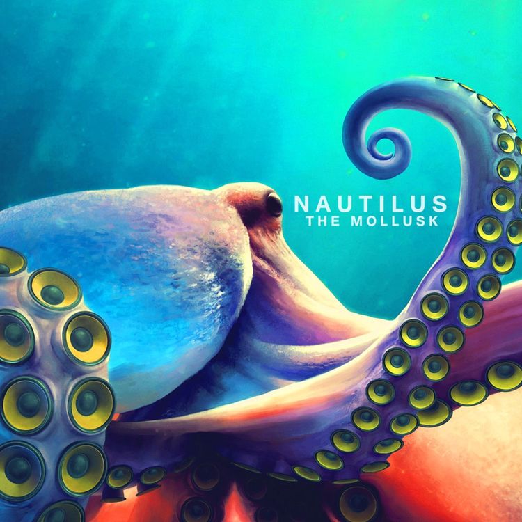 The Mollusk - Nautilus - Reviews - Album of The Year