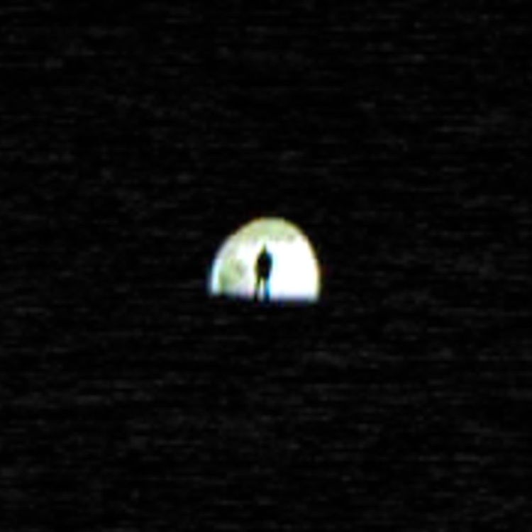 Sagan Hawkes - Sounds of the Ark - Reviews - Album of The Year