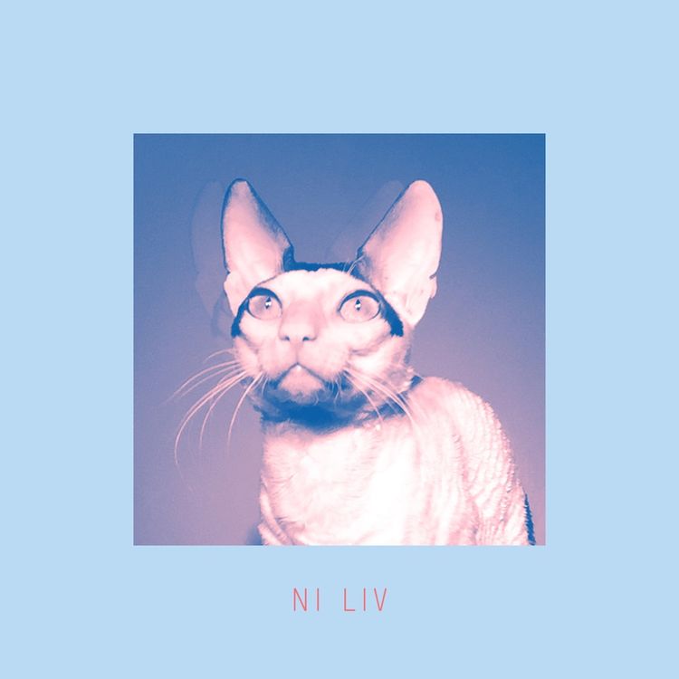 Silja Sol - Ni liv - Reviews - Album of The Year
