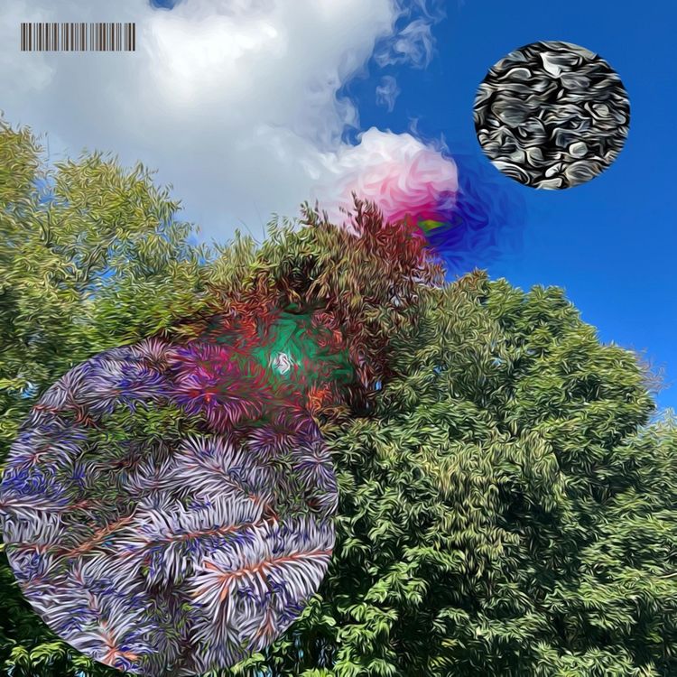 Savesomeone - punch back - Reviews - Album of The Year