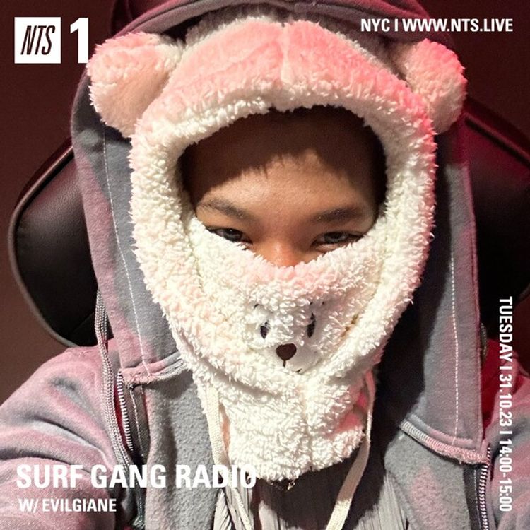 Surf Gang - Surf Gang Radio Ep.4 (DJ Mix) - Reviews - Album of The Year
