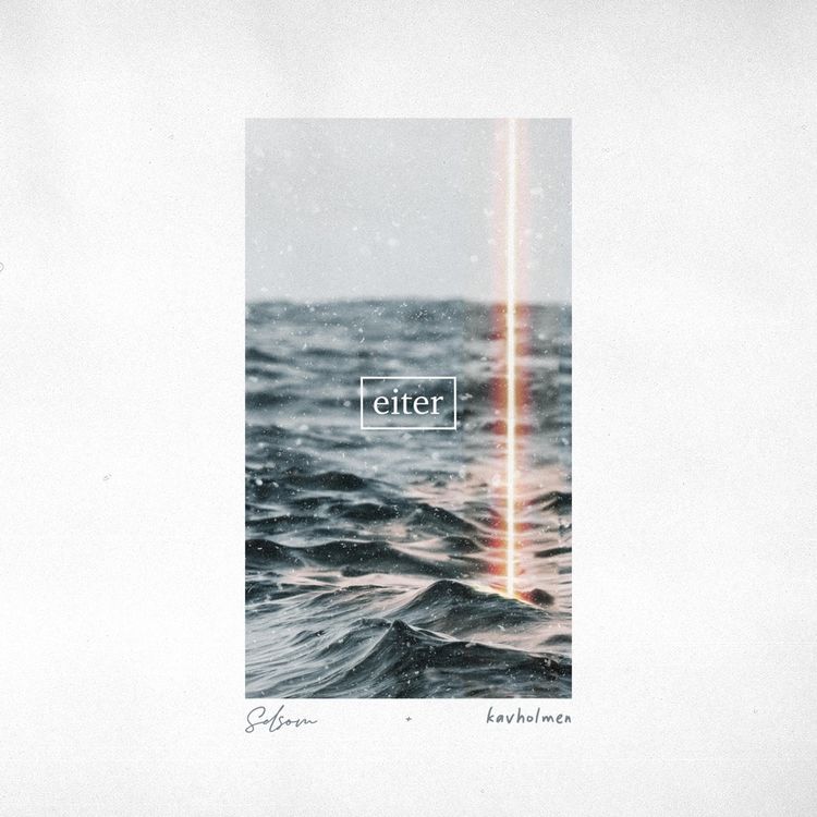 Selsom - Eiter (falle sart) - Reviews - Album of The Year