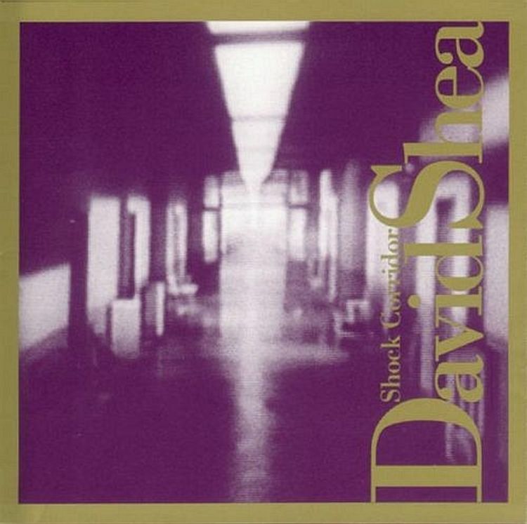 David Shea - Shock Corridor - Reviews - Album of The Year