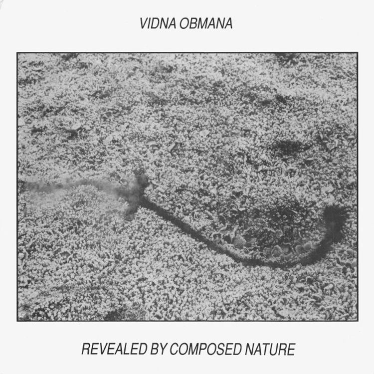 Vidna Obmana - Revealed by Composed Nature - Reviews - Album of The Year