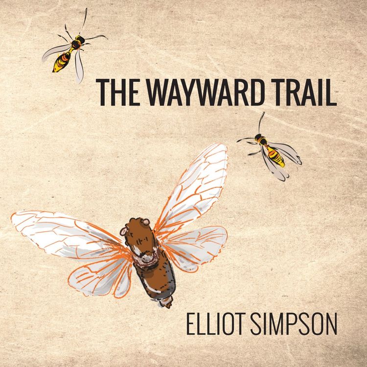 Elliot Simpson - The Wayward Trail - Reviews - Album of The Year