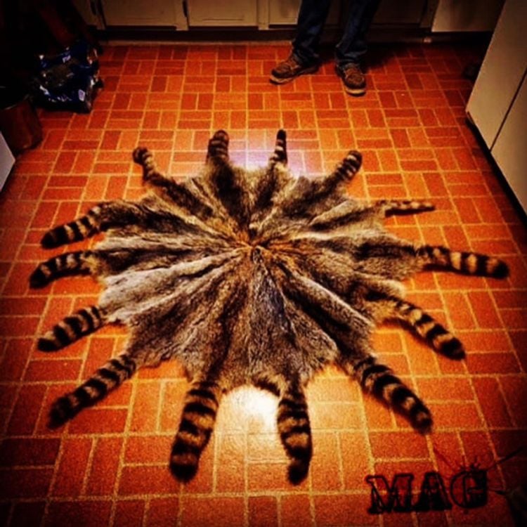 9090gate & mag - Wild One (EP) - Reviews - Album of The Year