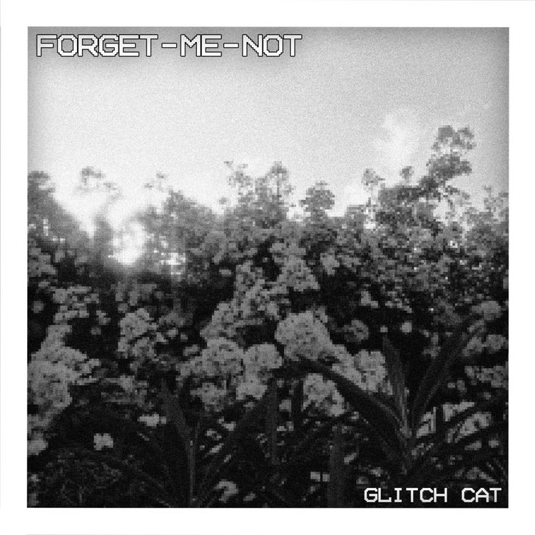 Glitch Cat - Forget - Me - Not (Single) - Reviews - Album of The Year