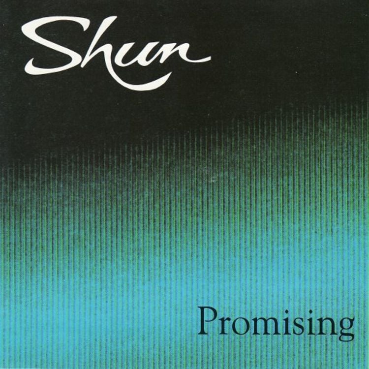 Shun - Promising (EP) - Reviews - Album of The Year