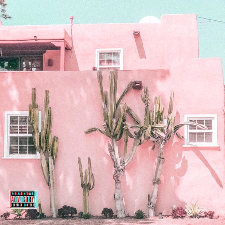 Surfboard C - The Subtle Flex - Reviews - Album of The Year