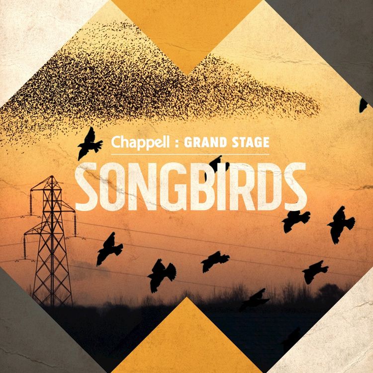 Ben Cocks - Songbirds (EP) - Reviews - Album of The Year